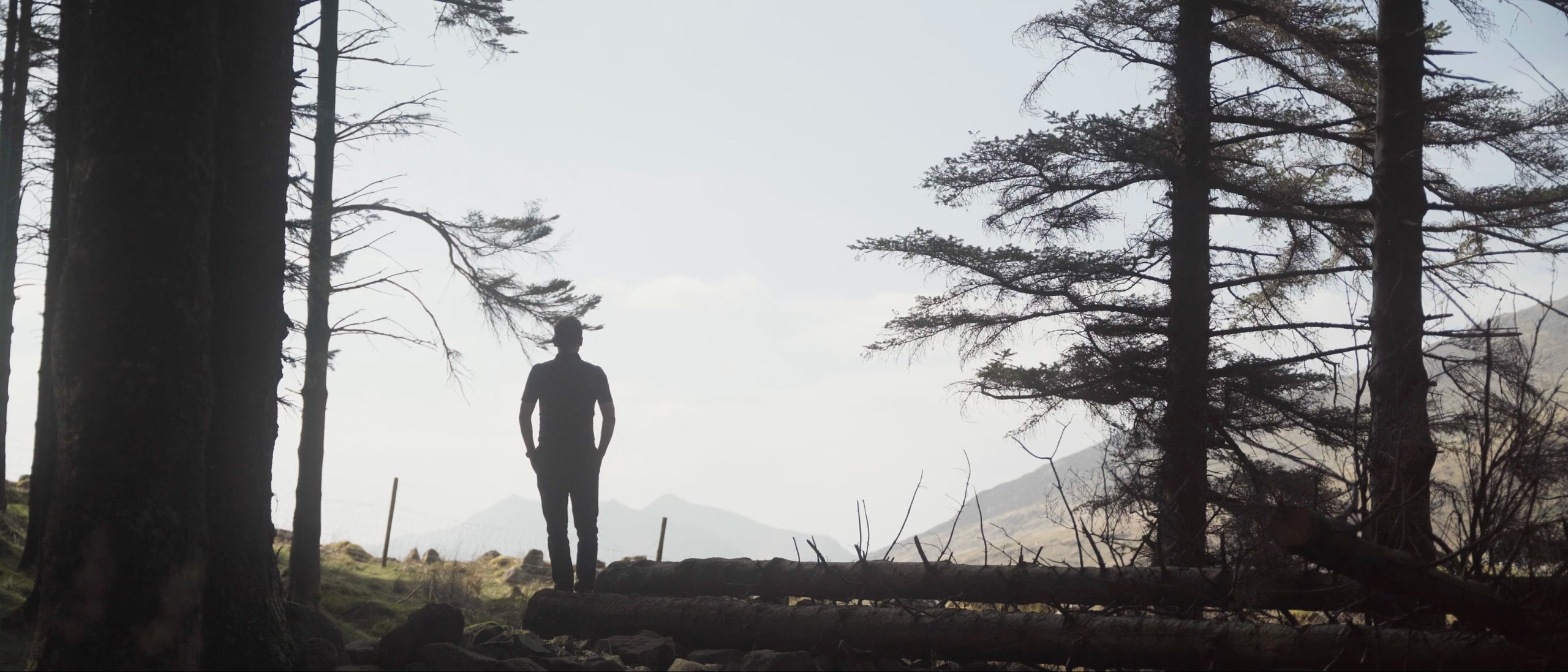 Kevin Riley | About - Kevin Riley